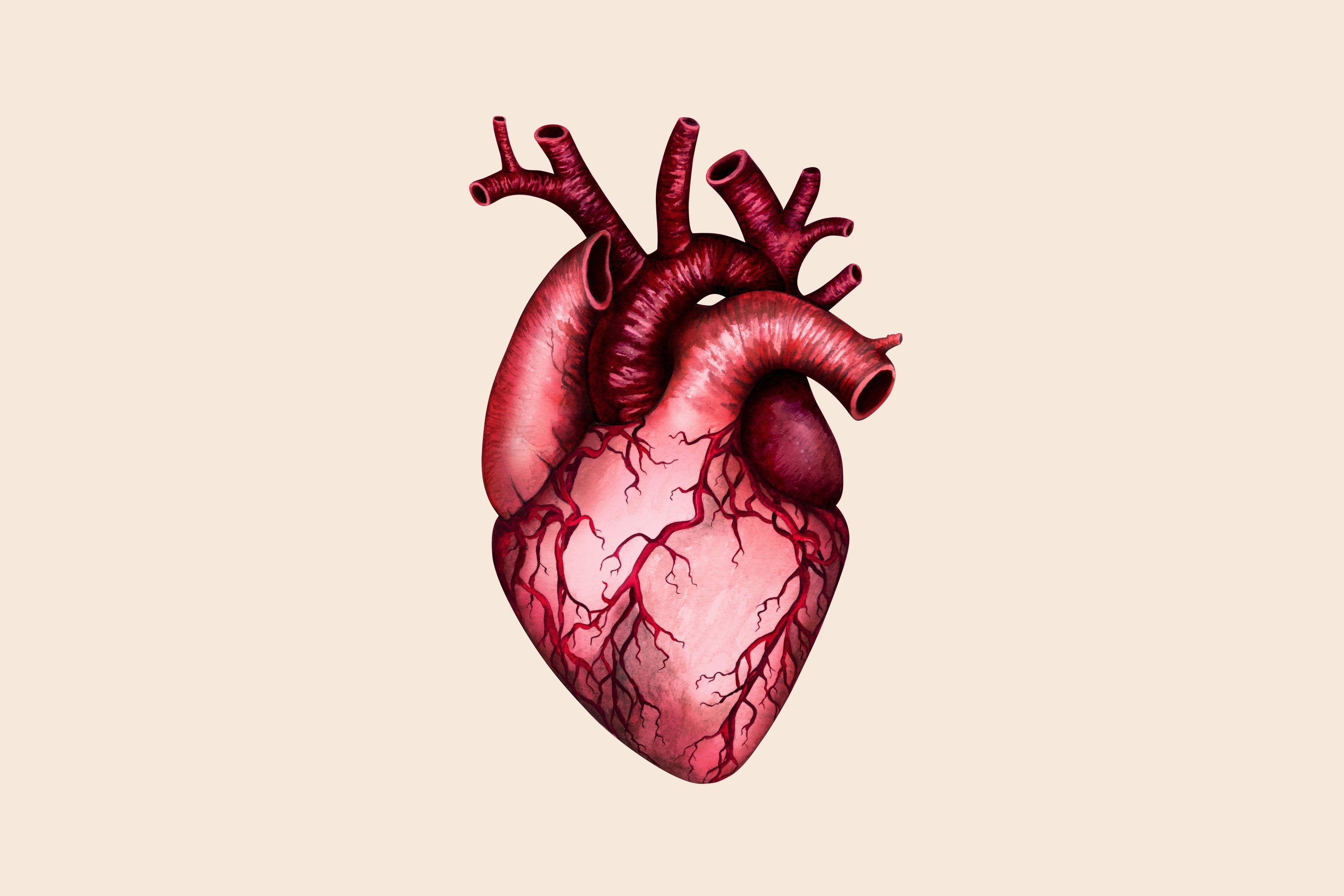 Всесвітній день серця: як розпізнати інфаркт і знизити ризик його ...